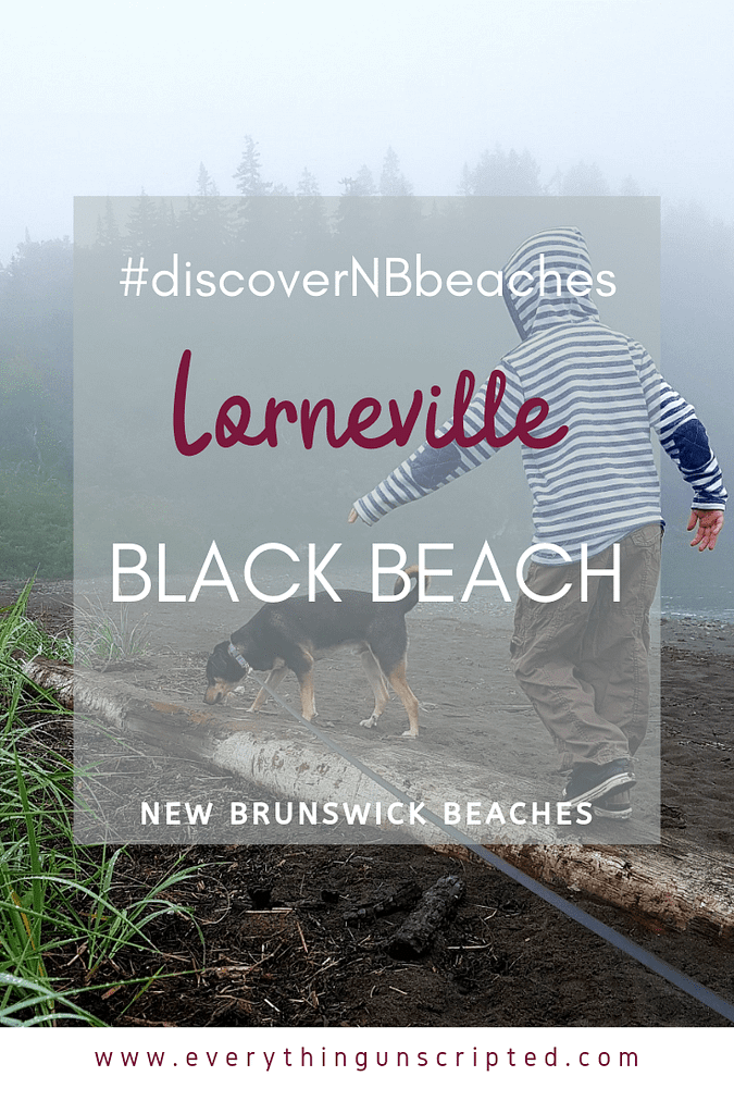 Black Beach In New Brunswick