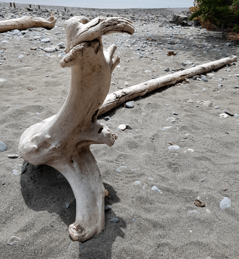 Point Wolf Beach at Fundy National Park in New Brunswick
