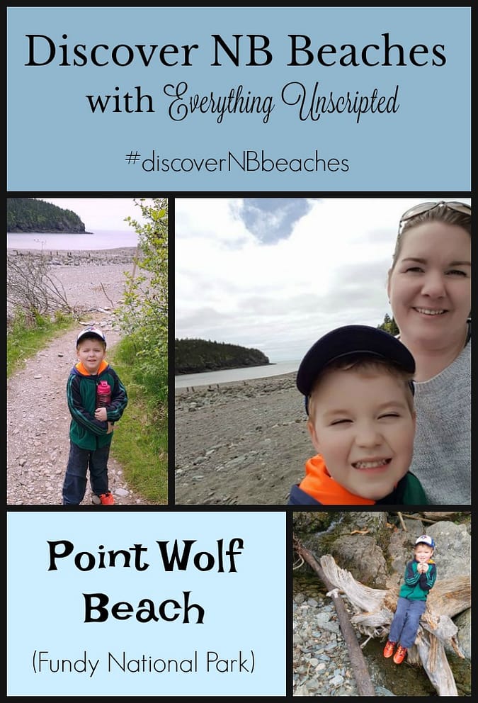 Point Wolf Beach at Fundy National Park in New Brunswick