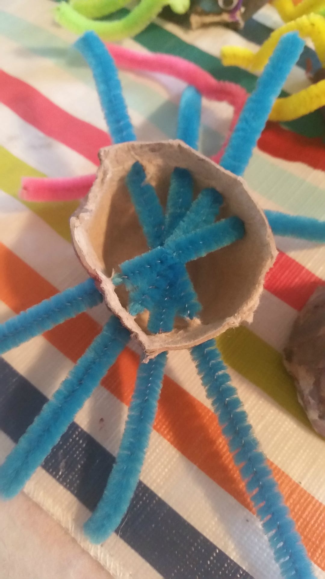 Kids Craft: Egg Carton Spider