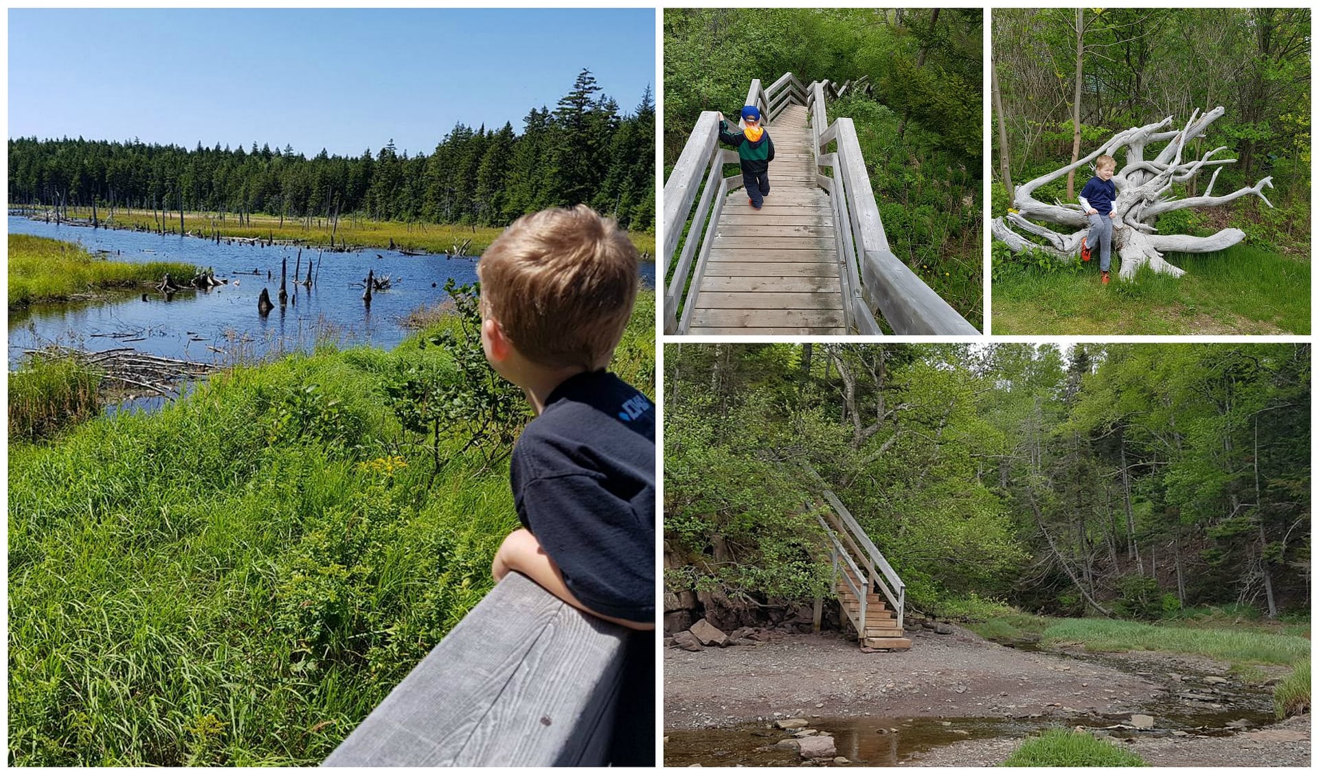 New Brunswick Family Day Trips & Destinations with Ruth Ann Swansburg