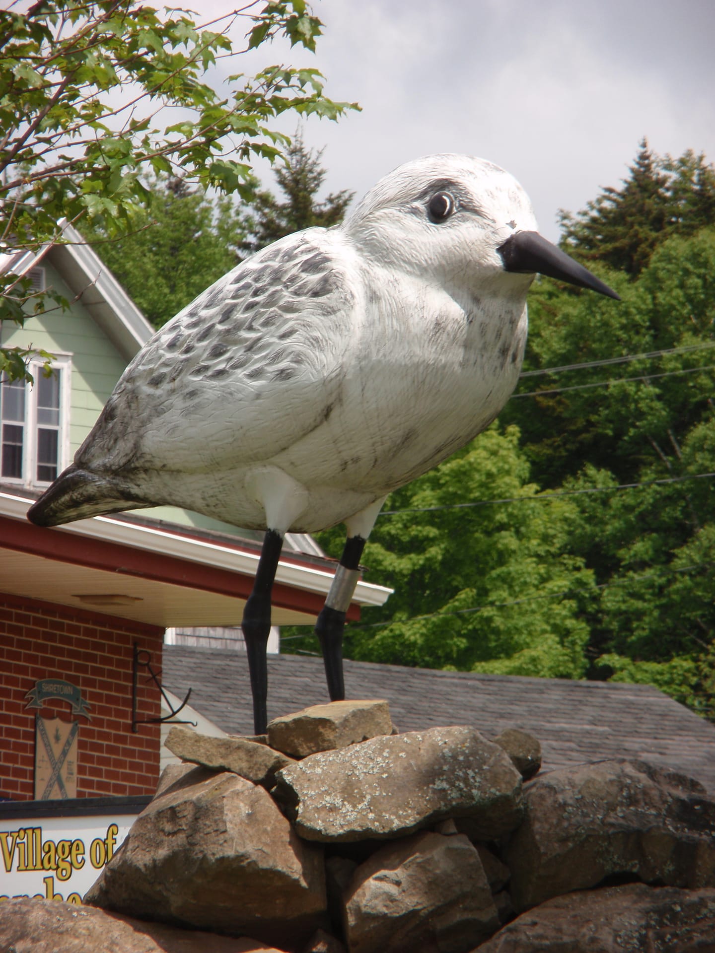 Roadside Attractions In New Brunswick
